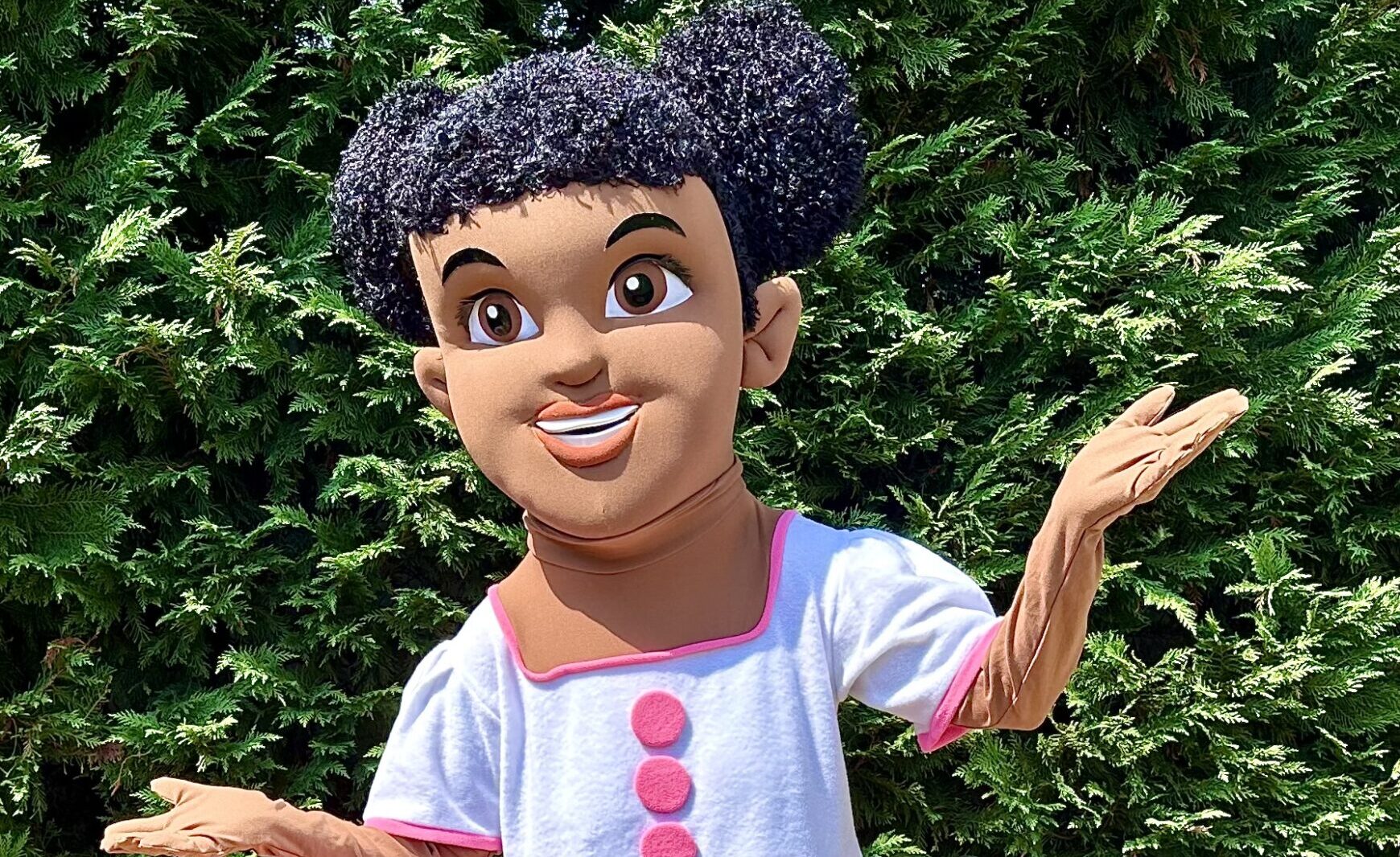 Philadelphia Birthday Party Characters, Hire a Princess, Superhero